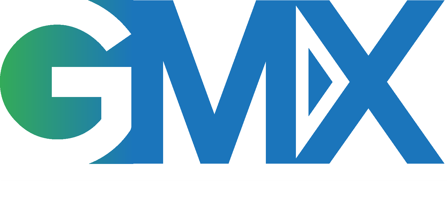 TEAMFL – Our Vision Is Information